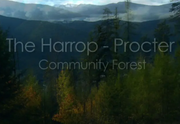 harrop-procter-forest – Each For All