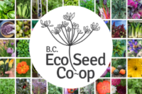 BC-Eco_Seed_SummaryCard – Each For All